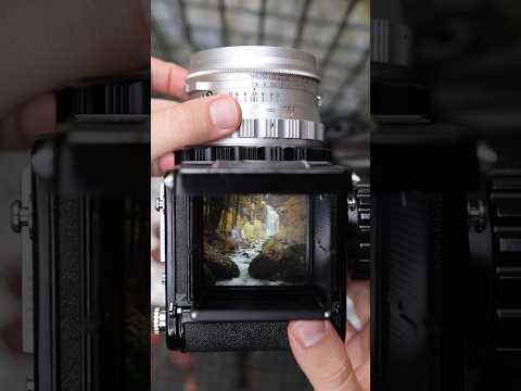 This viewfinder is amazing