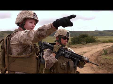 JWTMarines_QualityCitizens_Enthusiasm_CARDS