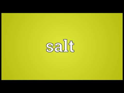 salt meaning in English
