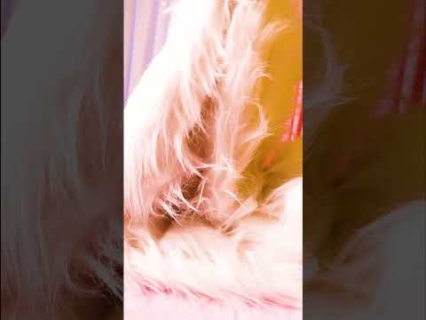 Snowy Faux Fur Blanket | Softest Blanket | Fur Blankets | White Fur Blanket | Best Quality Blanket