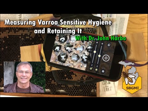 Dr. John Harbo, Measuring and Retaining VSH for ALL BEEKEEPERS