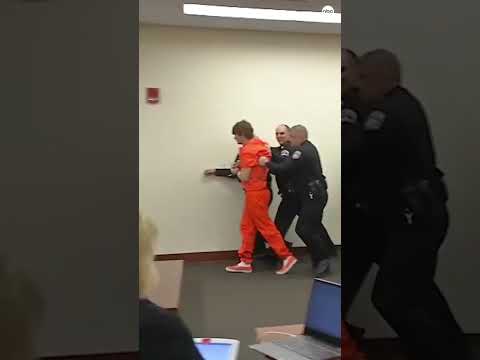 Moment a man lunges at Buffalo mass shooter in courtroom during sentencing hearing. #news