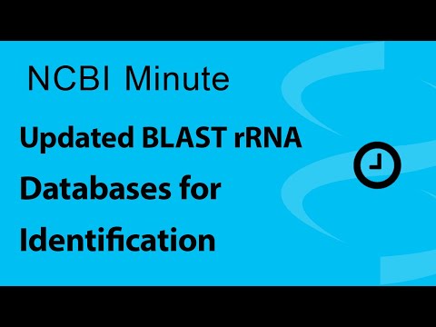 NCBI Minute: Updated BLAST rRNA Databases for Identification