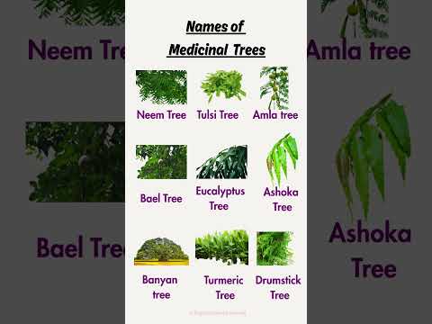 Names Of Medicinal Trees ✅✍️✨#english #educationalvideo #grammer #englishgrammar #education