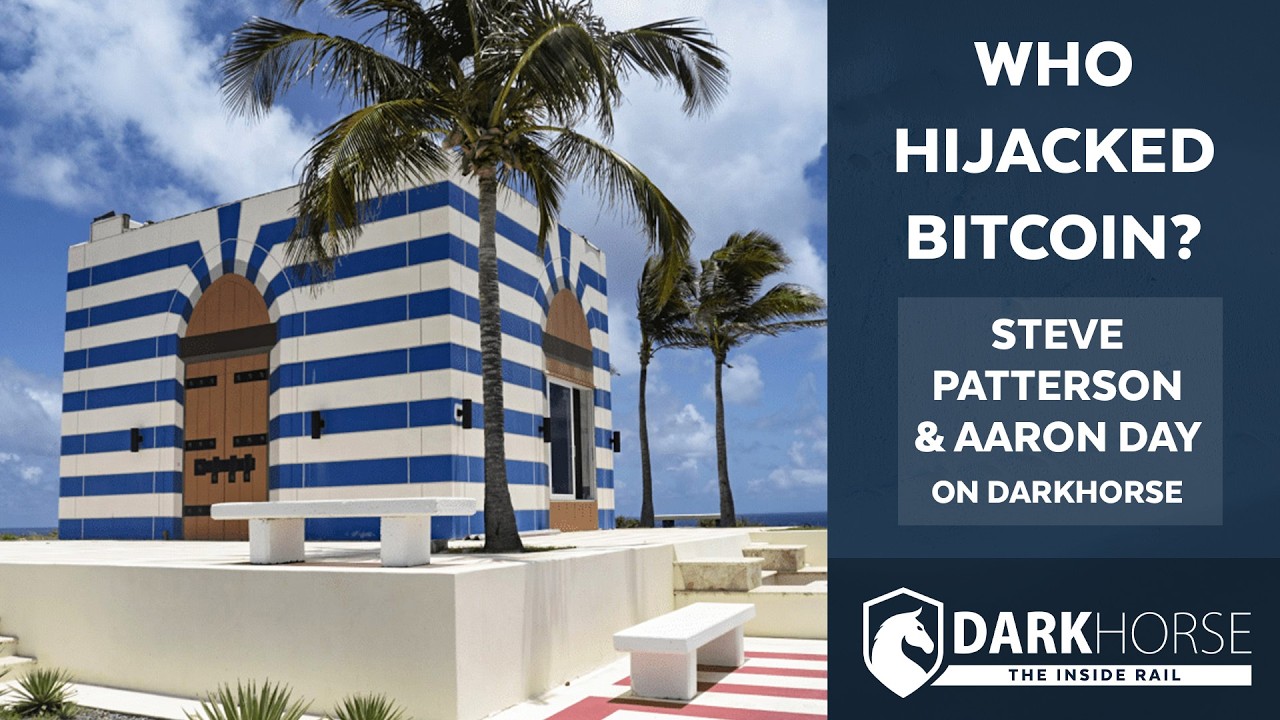 Who Hijacked Bitcoin? Steve Patterson and Aaron Day on DarkHorse