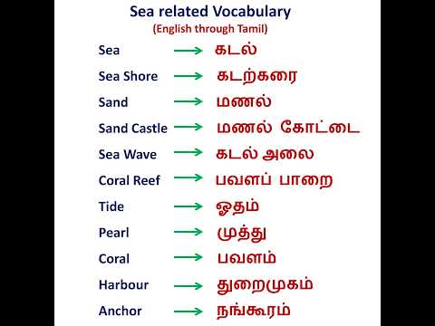 Sea related Vocabulary English through Tamil #learnenglish #englishtotamil #tamiltoenglish