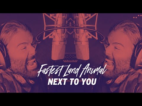 Fastest Land Animal - Next to You (Official Music Video)