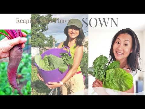 The Joy of Growing My Own Food | Organic Vegetables - Community Garden - Blood Type Farming