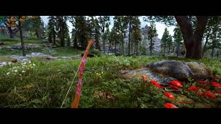 Ravyn does animal pelt collection at Skyrim Special Edition Nexus ...