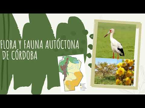 Flora y Fauna de Córdoba