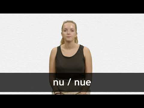English Translation of “NU” | Collins French-English Dictionary