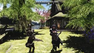 Dancing with selene at Skyrim Special Edition Nexus - Mods and Community