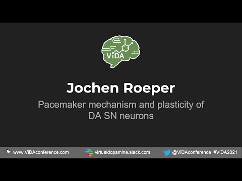 Jochen Roeper - Pacemaker mechanism and plasticity of DA SN neurons