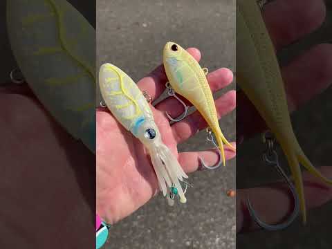 When are you fishing the Nomad Vertrex vs the Nomad Squidtrex?