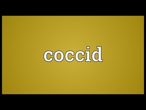 Coccid Meaning
