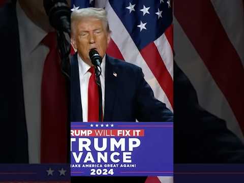 Election results: Donald Trump elected as President of the United States