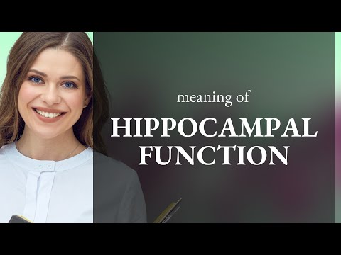 Exploring the Mysteries of the Mind: Hippocampal Function