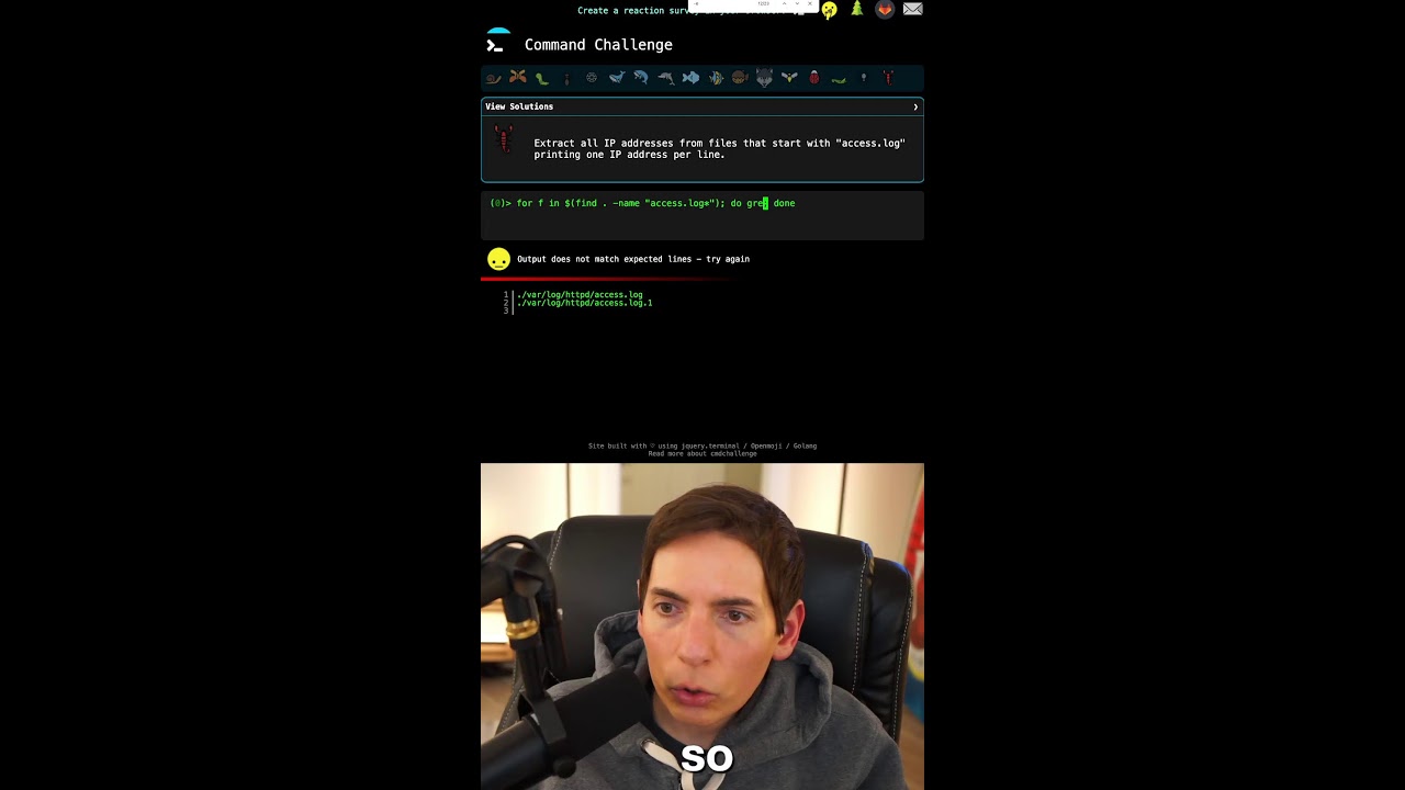 Bash Command Line Challenges