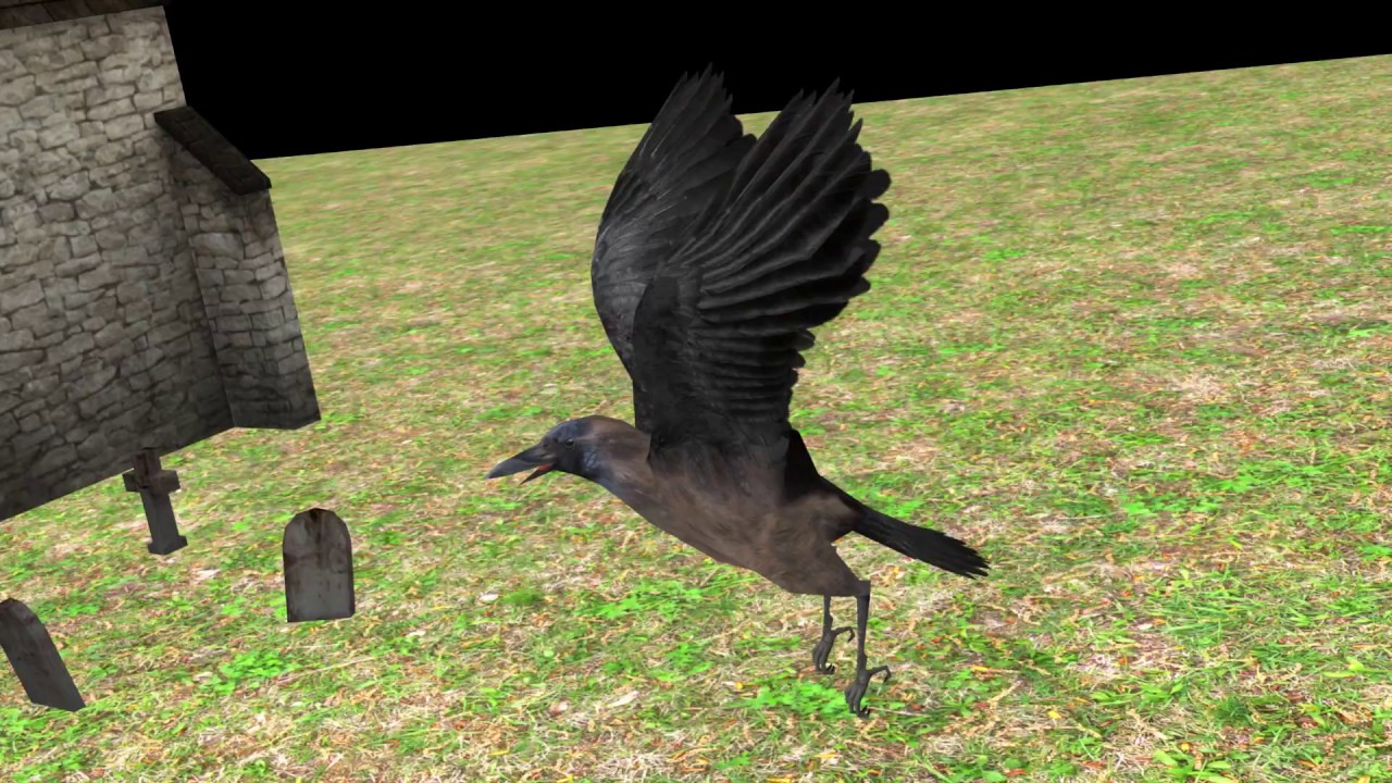 Crow Flying Animation