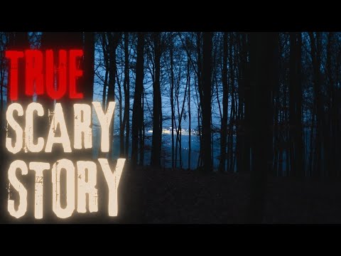 19 Scary True Forest Horror Stories