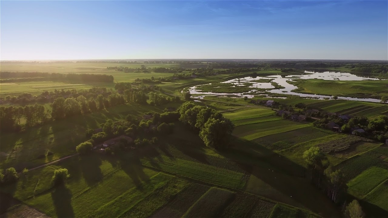 Flying Over a Green Farm Field in a Plane HD Video Scene Loop Background