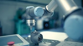 Scott | Collaborative Robots