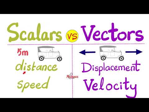 Scalars & Vectors - 18 Examples - Distance, Displacement, Speed, Velocity, Work, Torque - Physics