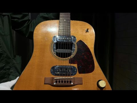 Kurt Cobain's 'Unplugged' guitar up for auction | AFP