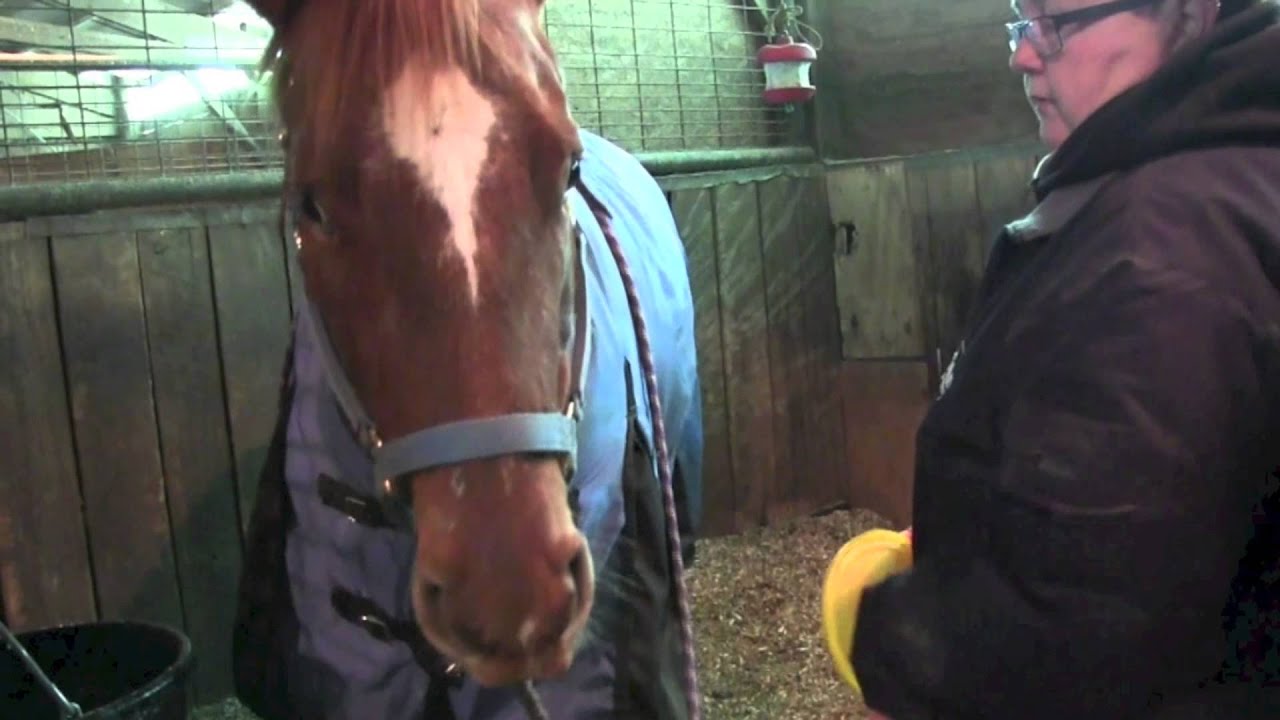 Using a target to shape backing