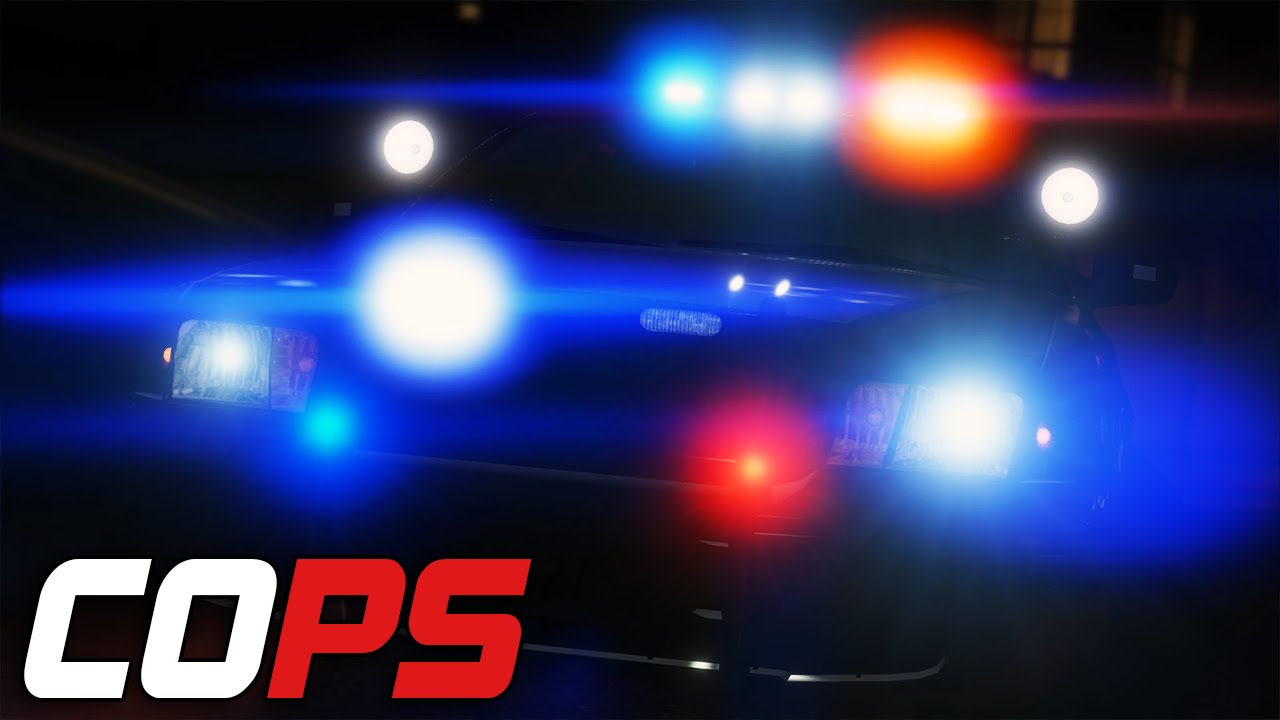 Code Zero Cops #9 - Felony Stop! (Buggs' Run)