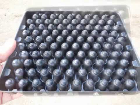 Test Tube Racks - Tube Storage Rack Latest Price, Manufacturers & Suppliers