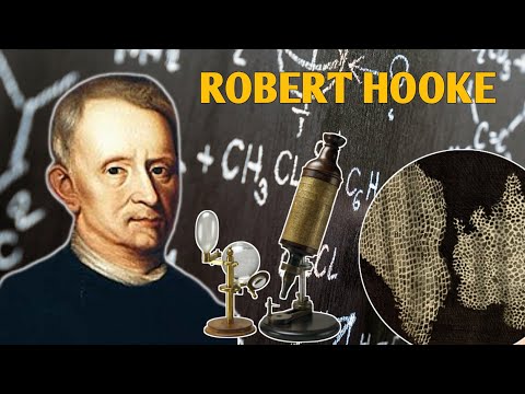 Robert Hooke|Born|Cell Discovery|Biology@read_science1