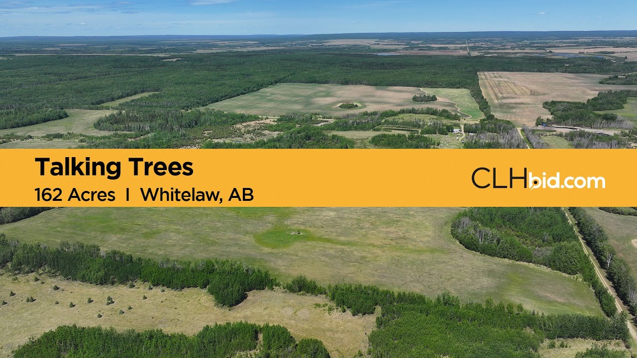 Talking Trees I AB Farm Land For Sale I Whitelaw, AB
