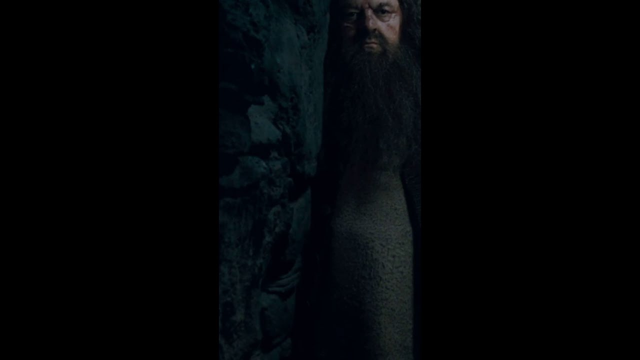 Bellatrix escapes from Azkaban #HarryPotter #BellatrixLestrange