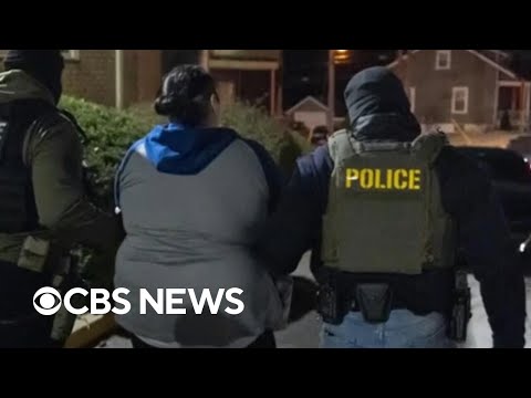 ICE arrests 11 Iranian nationals in targeted operations