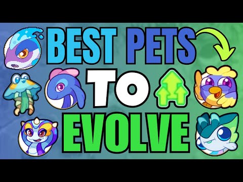 The BEST Pets to Evolve in Prodigy! | Prodigy Math Game