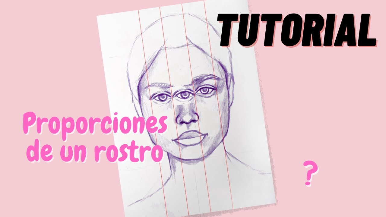 COMO son las PROPORCIONES de un ROSTRO?