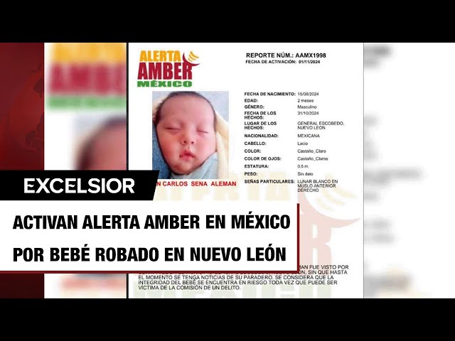 ¿Cómo activar una Alerta AMBER en México tras el robo o desaparición de ...