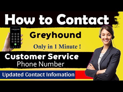 Broj telefona službe za korisnike Greyhound | telefonski broj hrta | Kako kontaktirati hrta