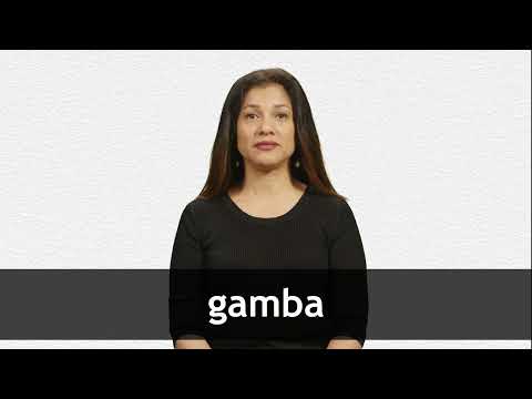 English Translation of “GAMBA” | Collins Spanish-English Dictionary