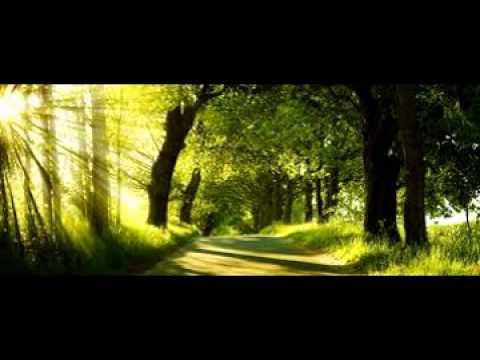 Photos Of Nature