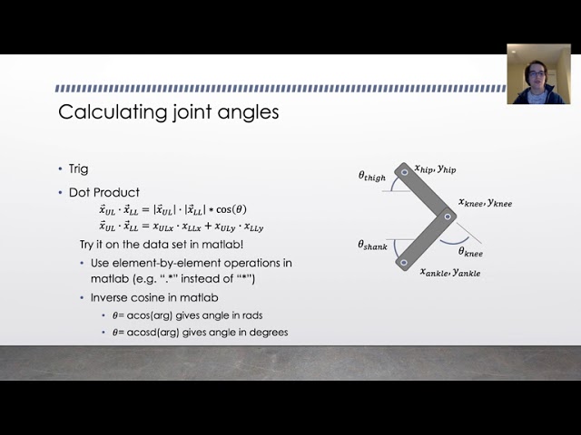 Calculating Joint Angles from Motion Capture Data in MATLAB | Galaxy.ai