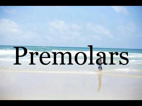 How To Pronounce Premolars🌈🌈🌈🌈🌈🌈Pronunciation Of Premolars