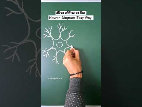 Neuron diagram easy way 👍👍 #shorts #art #drawing