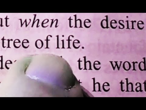 Desire in Scripture: The Good, The Bad, and the Scorner