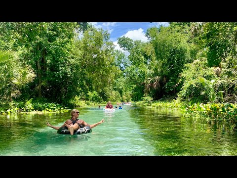 6 Crystal Clear Rivers In Florida To Float Your Way Down