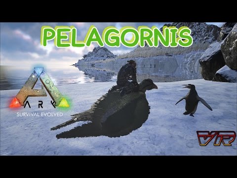 Steam Community :: Video :: ARK BESTIARY - PELAGORNIS
