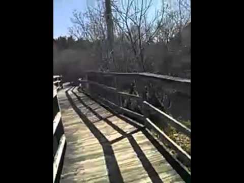 Appalachian Folk Medicine...what is it?