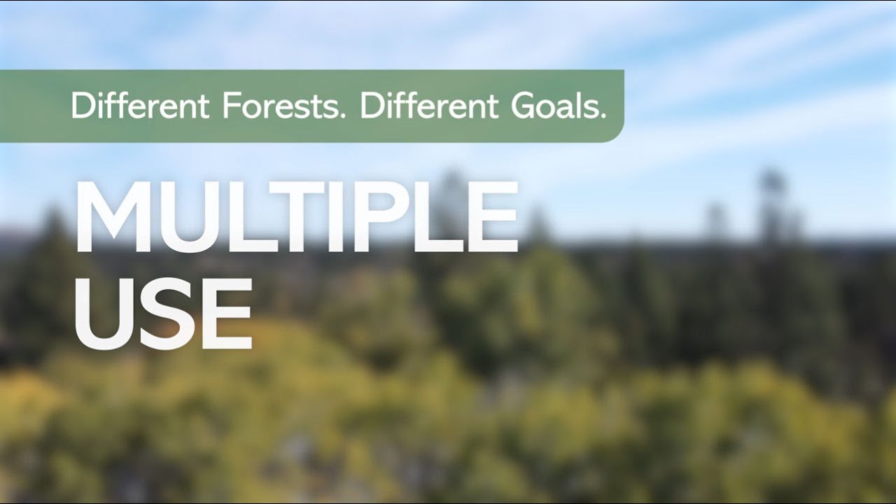 Different Forests. Different Goals. Multiple Use