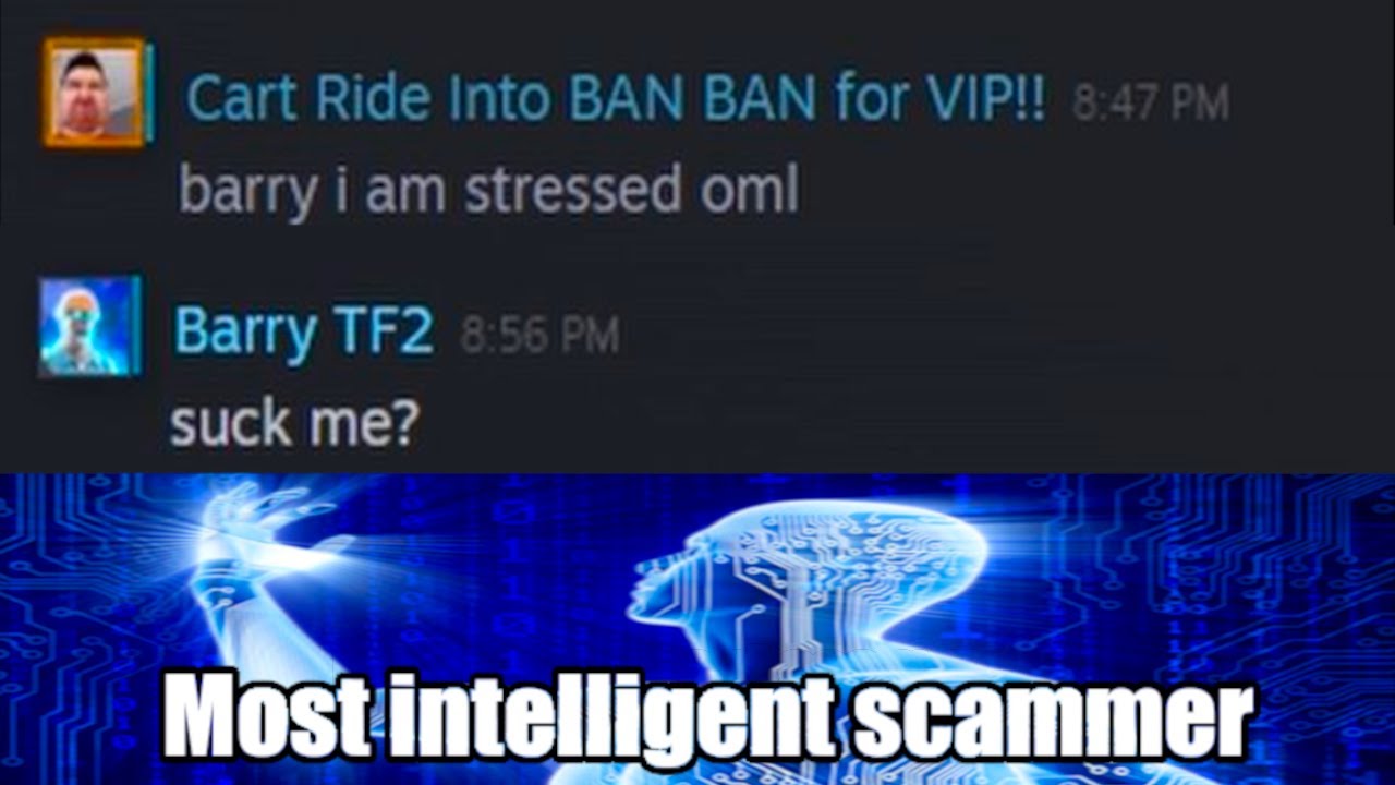 Steam's most intelligent scammer